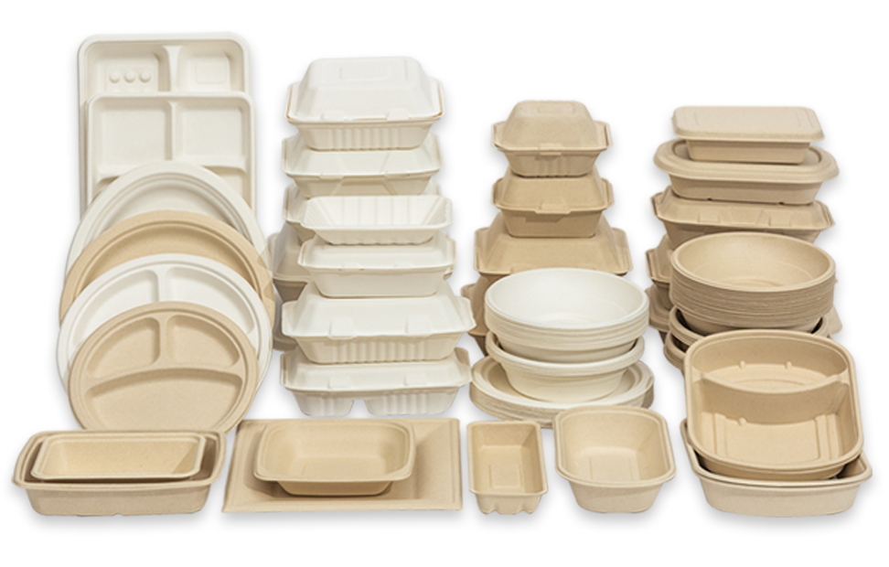 What Are Bagasse Food Containers and How Are They Used?
