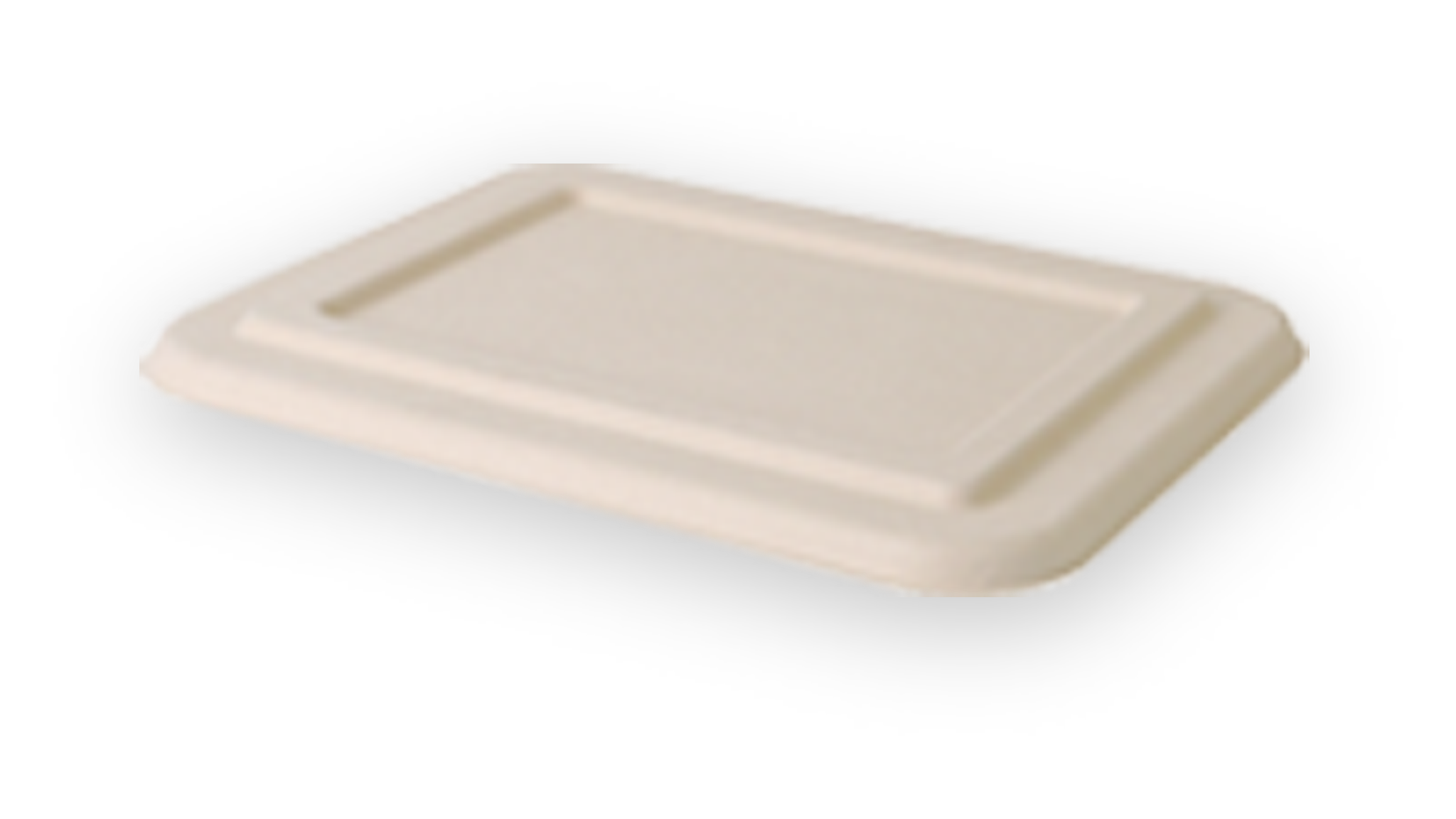 Bagasse Boxes | Biodegradable, Compostable & Eco-Friendly Packaging