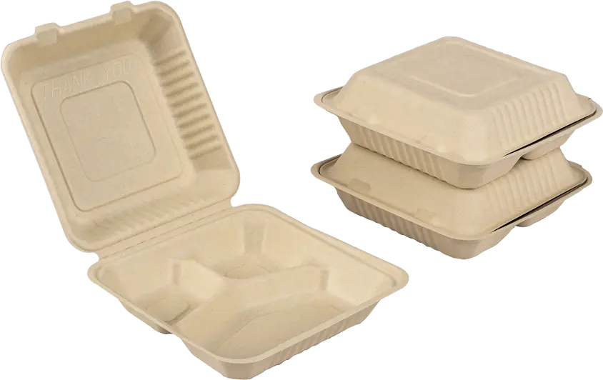 Bagasse Clamshell Containers | Biodegradable, Compostable & Eco-Friendly