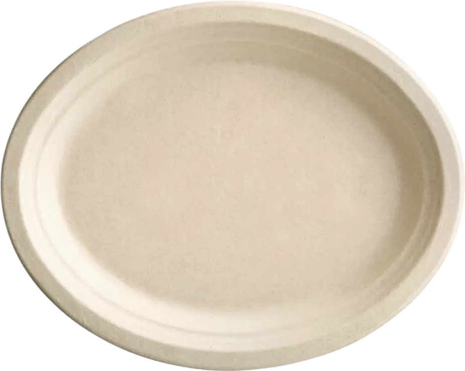 Bagasse Plates | Biodegradable & Compostable Disposable Tableware