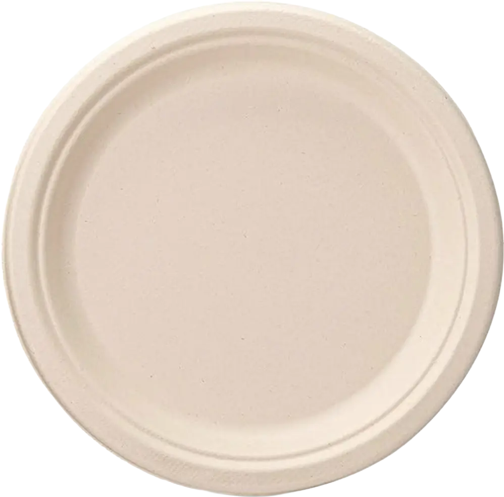 Bagasse Plates | Biodegradable & Compostable Disposable Tableware