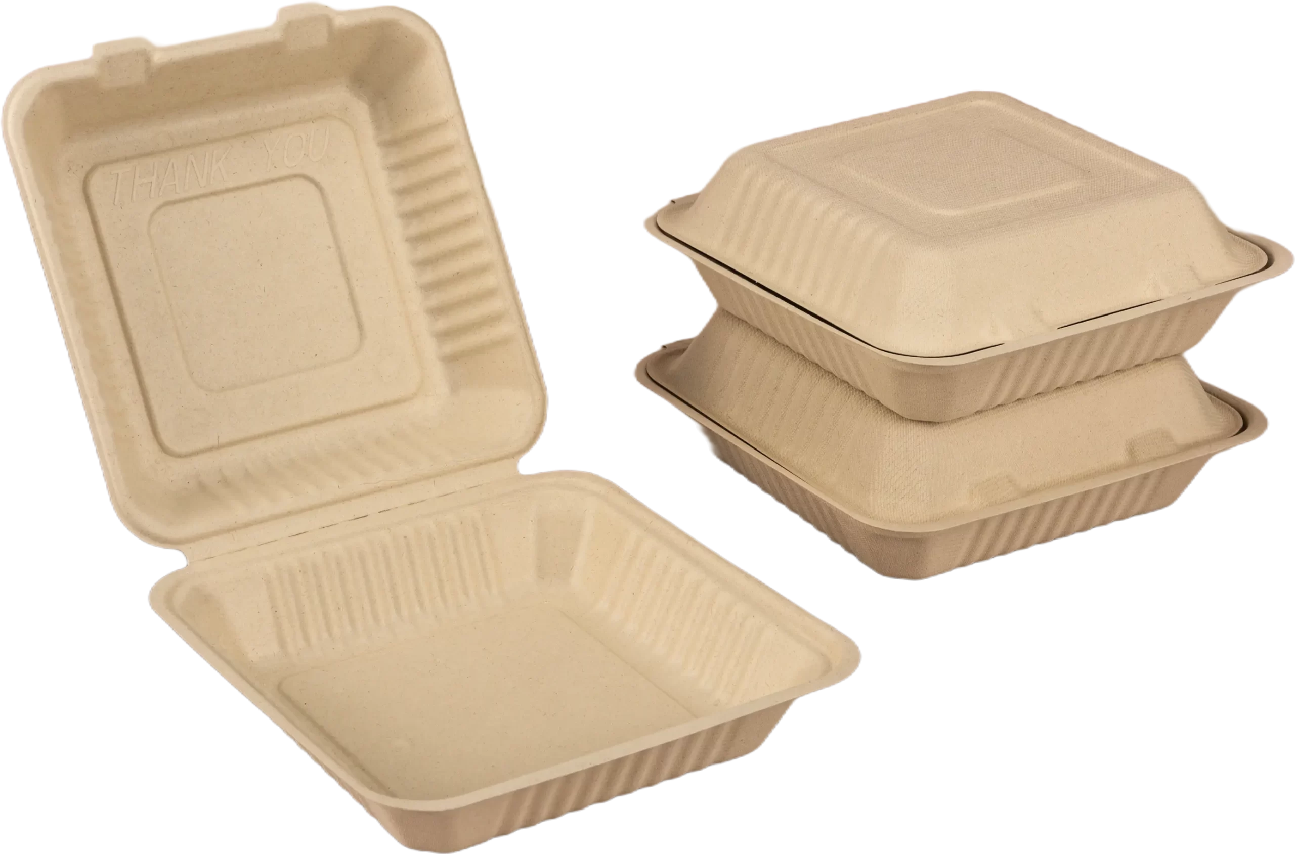 Bagasse Clamshell Containers | Biodegradable, Compostable & Eco-Friendly
