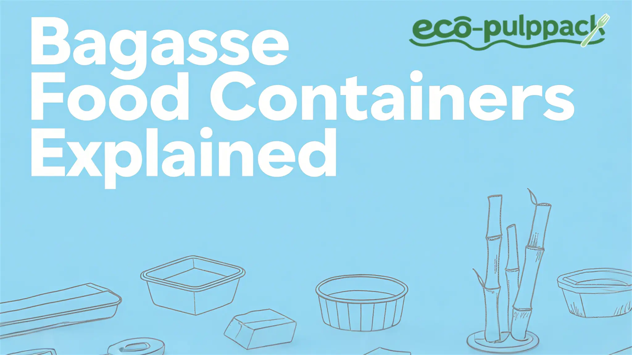 What Are Bagasse Food Containers and How Are They Used?