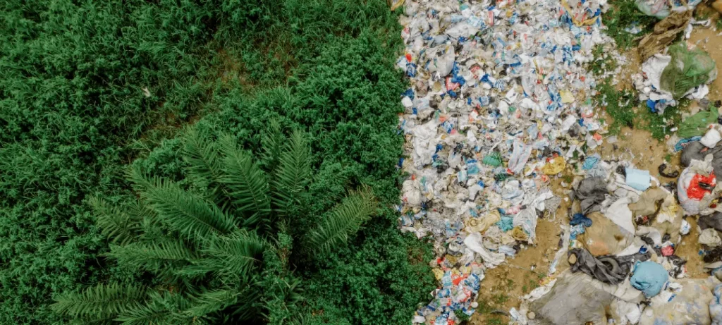 Molded Fiber vs. Plastic and Paperboard — Key Differences