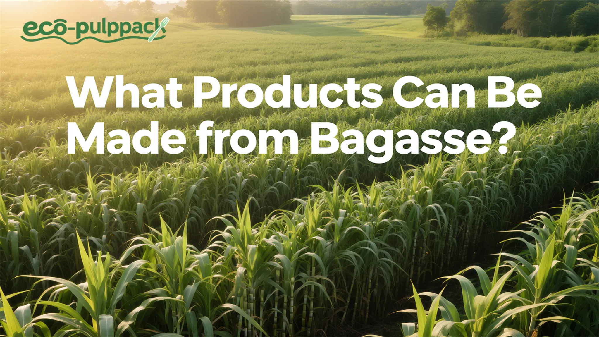 What Products Can Be Made from Bagasse? Uses and Examples