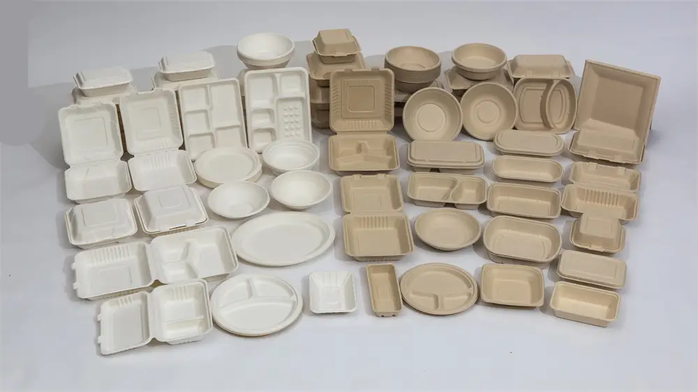 Bagasse Tableware Wholesale | Compostable Food Packaging